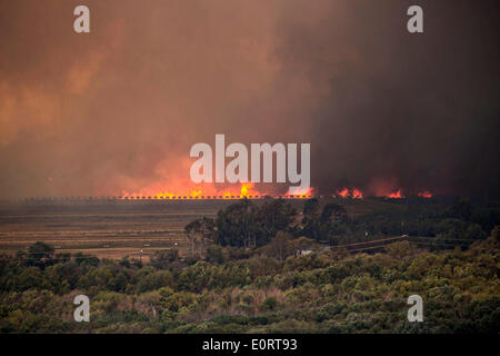 The Las Pulgas and Tomahawk wildfire burns at night in the foothills ...