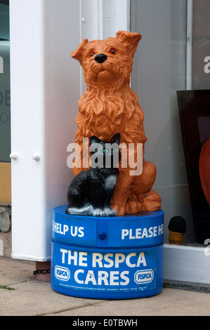 RSPCA Charity Collection Box Stock Photo - Alamy