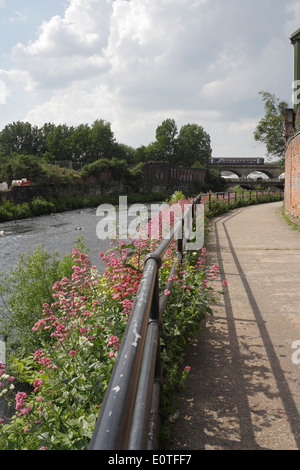 River Don, Attercliffe Sheffield England, Five weirs walk, Urban ...