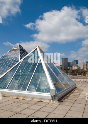 The Muttart Conservatory Pyramids and the city skyline of Edmonton ...