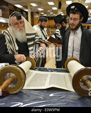 Young Jewish man reading torah wearing kippah, praying shawl & tefillin ...
