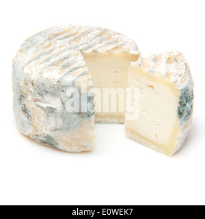 French goats cheese "crottin de chavignol" isolated on a white studio ...