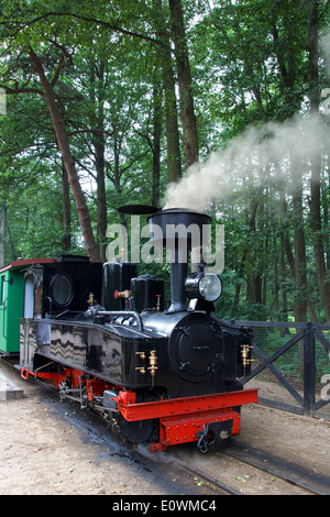 Small steam locomotive Stock Photo - Alamy