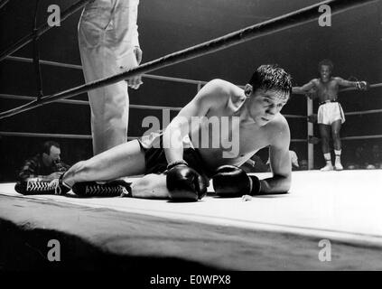 Boxer knocked out in a boxing ring Stock Photo: 176096140 - Alamy