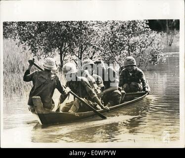 Jungle in Vietnam Stock Photo - Alamy