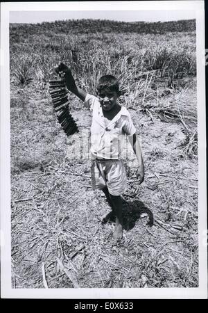 1965 - Dominican Civil War: US HU1B Chopper files over group of ...