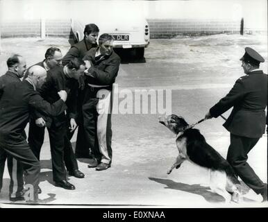 POLICE DOG TRAINING SCHOOL KESTON KENT 1993 Stock Photo - Alamy