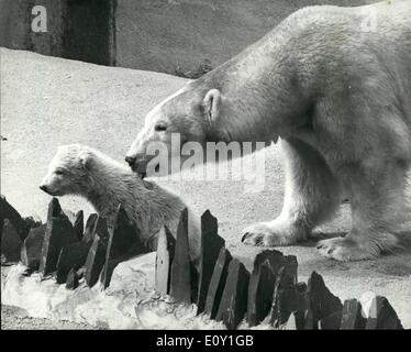 Mar. 03, 1968 - Pipaluk the London Zoo's Baby Polar Bear Takes His ...