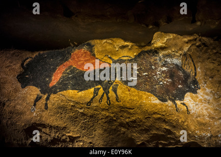 Cave Painting, Two Prehistoric Bison, Lascaux, France Stock Photo - Alamy