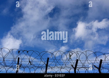 Wire fence with a blue sky with clouds of background Stock Photo - Alamy