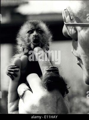 Jun. 08, 1978 - Baby Capuchins at the London Zoo. Jim and Tim, two ...