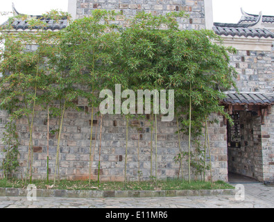 wall bamboo brick lawn green leaf tree park garden wood asia contrast ...