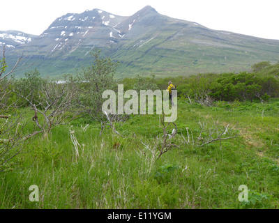 Kanatak Trail in Becharof National Wildlife Refuge offers visitors a ...