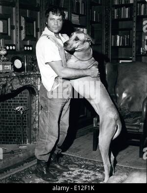 Actor Oliver Reed in his home with his dog Stock Photo - Alamy