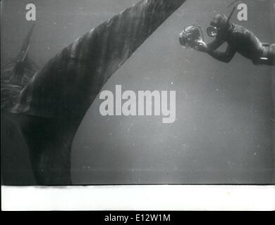 Feb. 25, 2012 - Whale of a Shark, Eva Papp pushes off an aggresive 5 ...