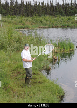 Dragonfly Day 2013 Stock Photo - Alamy