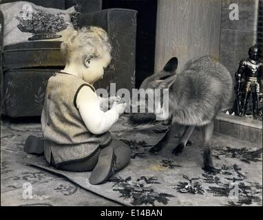 Two months old tamed fox Stock Photo - Alamy