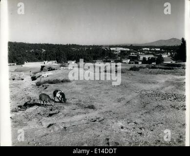 modern buildings in Addis Ababa, Ethiopia Stock Photo - Alamy