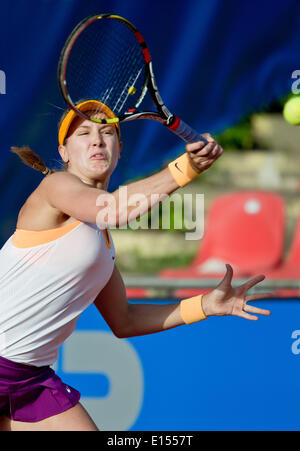 Nuremberg, Germany. 22nd May, 2014. Zoo director Dag Encke at the ...