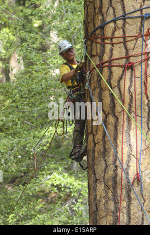 May 22, 2014 - Yosemite National Park, California, U.S - Thursday, May ...
