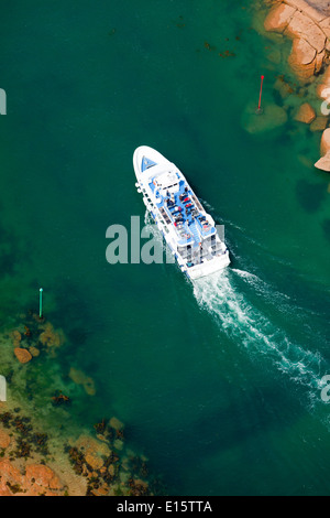 France, Cotes d'Armor, Sept Iles Ornithological Reserve, Ile Rouzic ...