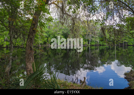 Poe Springs Park near High Springs Florida Stock Photo - Alamy