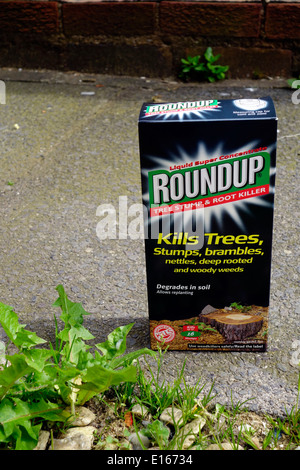 Roundup Tree Stump and Root Killer Herbicide, UK Stock Photo - Alamy