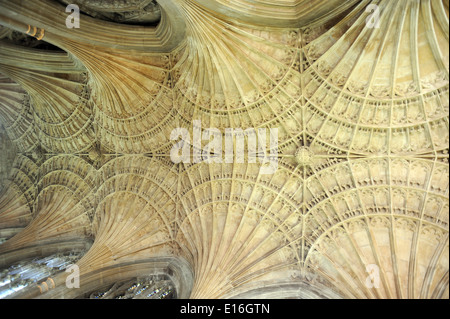 [Gothic arch] and [fan vaulting] ceiling design, "Divinity School ...