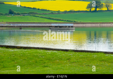 Chelmarsh Reservoir, Chelmarsh, Shropshire, England, UK Stock Photo - Alamy