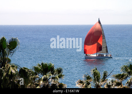 Yacht sailing off the coast of Madeira Stock Photo - Alamy