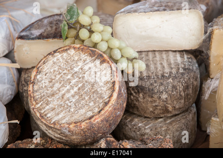 cheese exhibition where you can try several varieties Stock Photo - Alamy