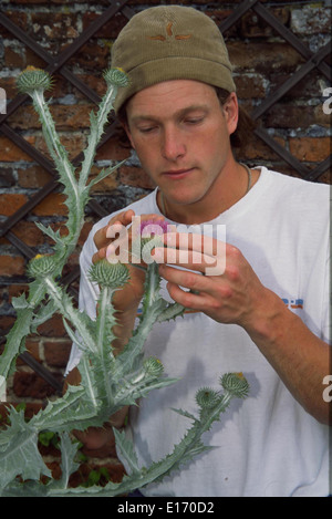 Tom Hart Dyke creating a design for a garden during his kidnapping ...
