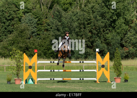Sports woman jump over obstacles on horseback. Horseback riding Stock ...