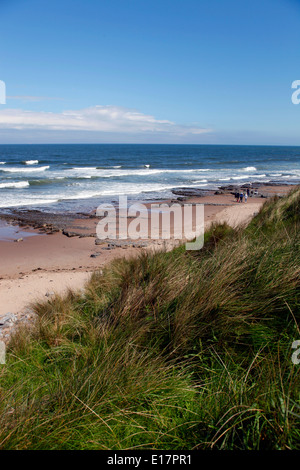 View of Cocklawburn beach on the east coast of Northumberland. An ...