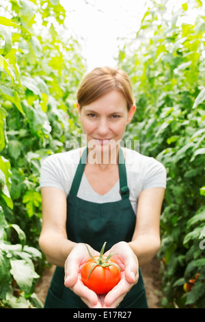 A person is holding a ripe red tomato in one hand and a yellow bell ...