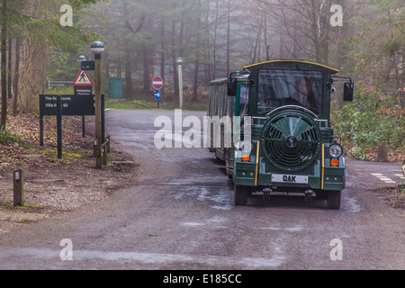 The land train at Center Parcs , Longleat, Wiltshire, England, United ...