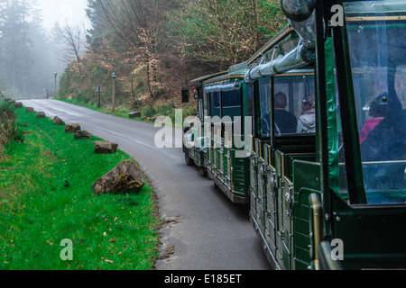 Land Train, Center Parcs Longleat Forest, Warminster, Wiltshire ...