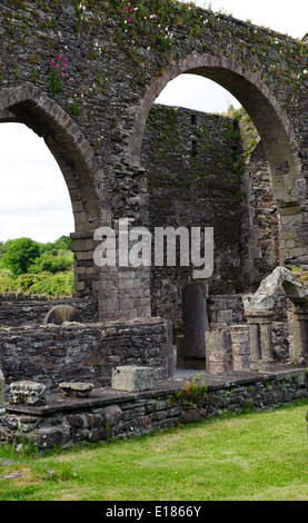 View of the ruins of the abbey in Baltinglass, James Newton, 1793 print ...