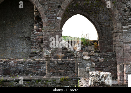 Ruins of the Cistercian Abbey at Baltinglass Stock Photo - Alamy