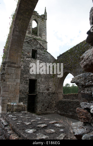 Ruins of the Cistercian Abbey at Baltinglass Stock Photo - Alamy
