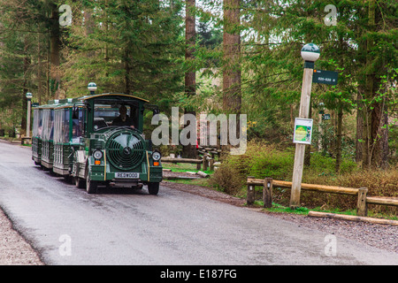 The land train at Center Parcs , Longleat, Wiltshire, England, United ...