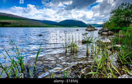 St. Mary's Loch, Scottish Borders, Scotland, UK Stock Photo - Alamy