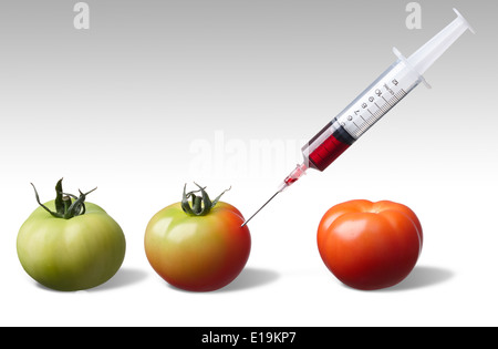 SYRINGE INJECTING CHEMICAL INTO TOMATO Stock Photo - Alamy
