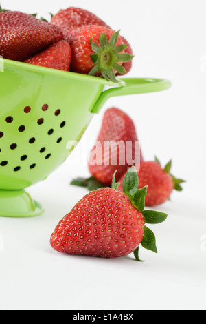A colander of fresh strawberries Stock Photo - Alamy
