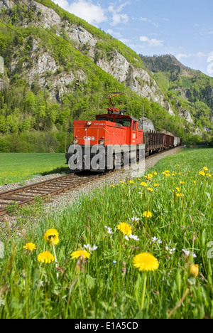 a OEBB locomotive or engine, a rail transport vehicle for train ...