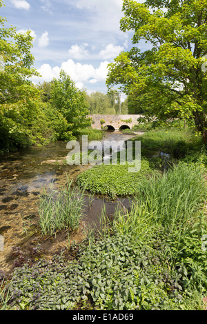 The River Leach that flows between the Cotswold villages of Eastleach ...