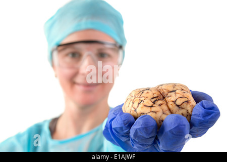 Anatomy Class Dissection, Female Medical Student Stock Photo - Alamy