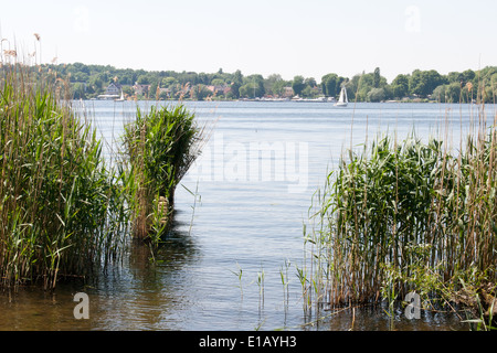The river Havel, Berlin, Germany along the Havelchaussee Stock Photo ...