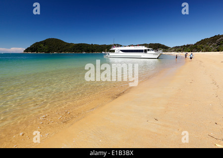 Torrent Bay Beach in Abel Tasman National Park Stock Photo - Alamy