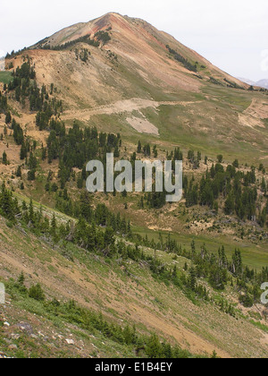 New World Mine Site - Gallatin National Forest Stock Photo - Alamy